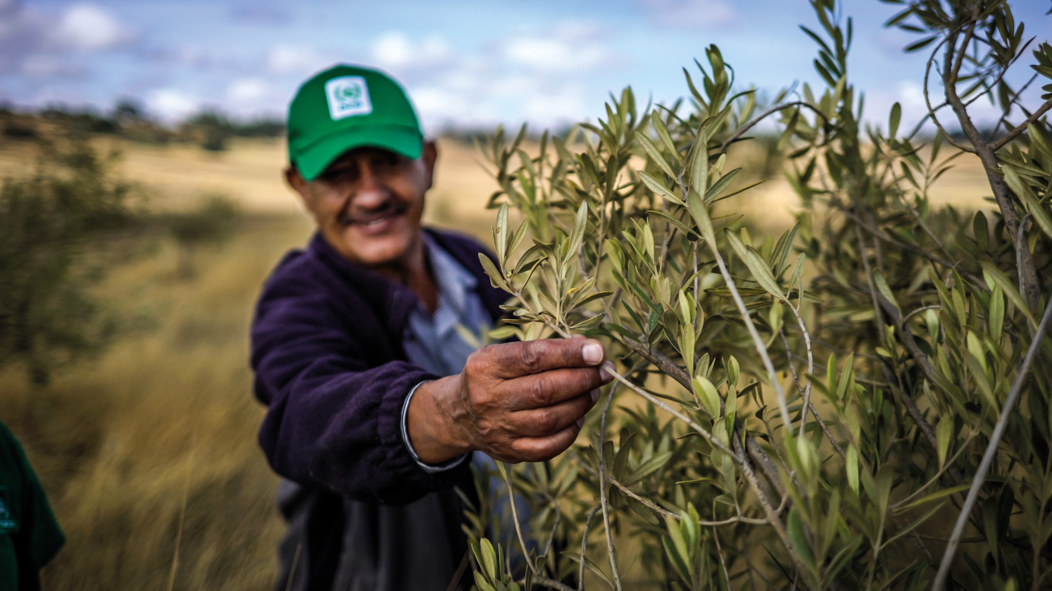 News - Nutricrops OCP